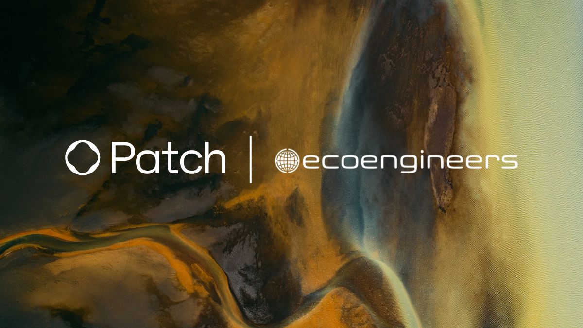 Pulling together toward progress | Patch